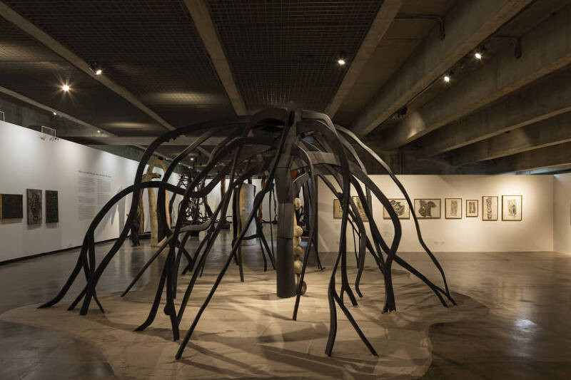 Exposição dos 100 anos de Krajcberg ganha versão online | Diario de Cuiabá